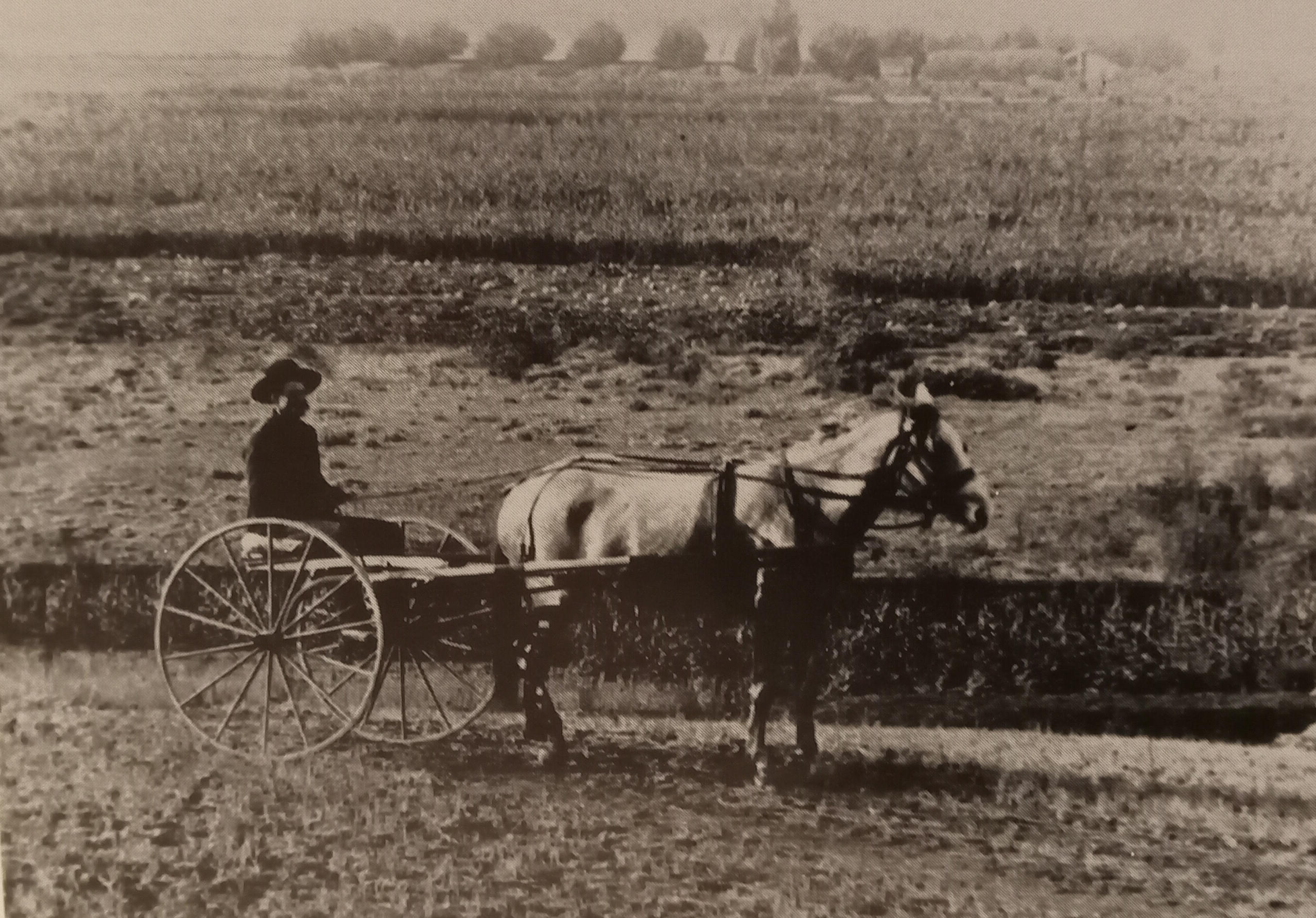 Early Settlers: Andrew Rorden – Fullerton History