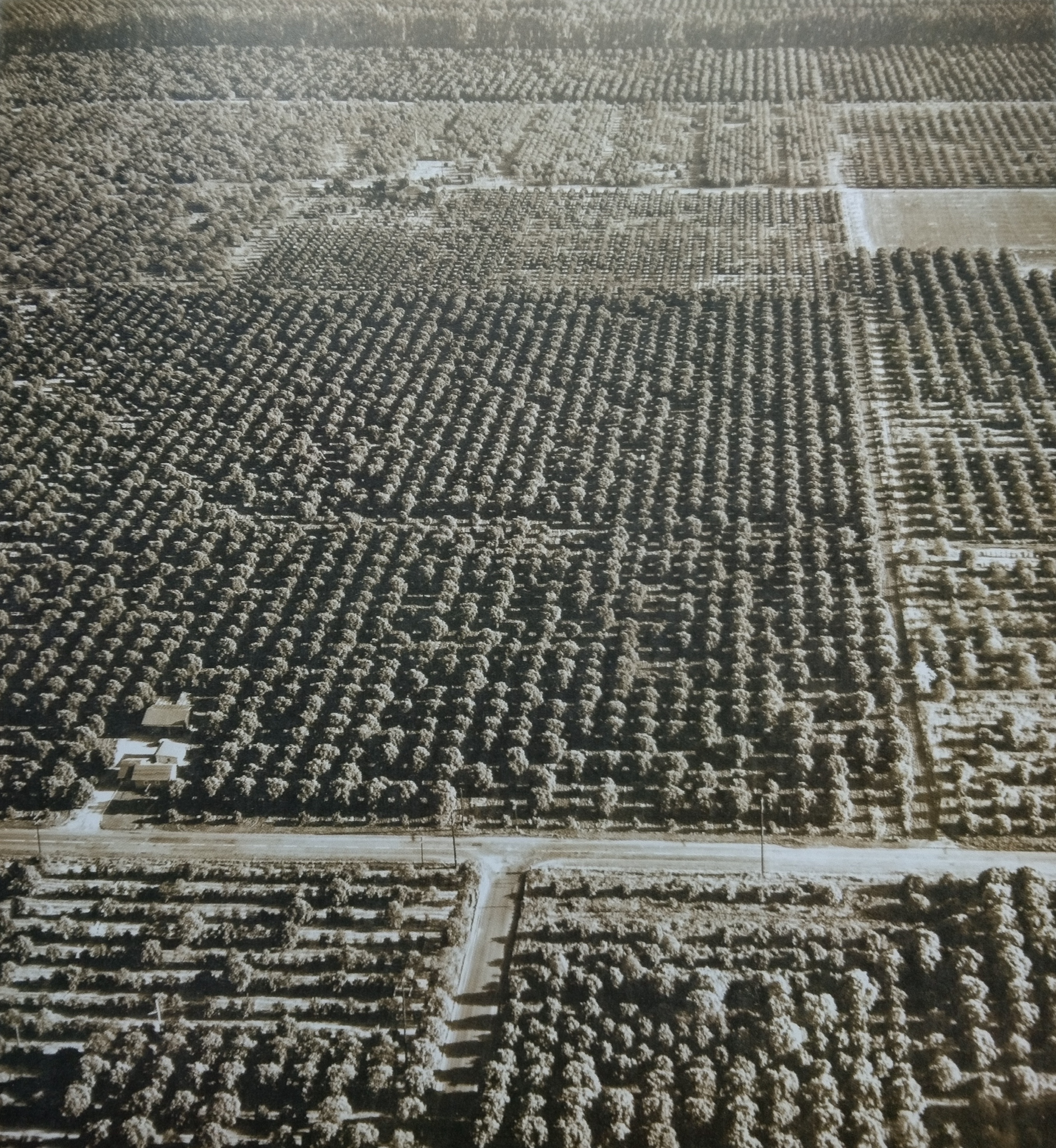 A Brief History of CSUF – Fullerton History